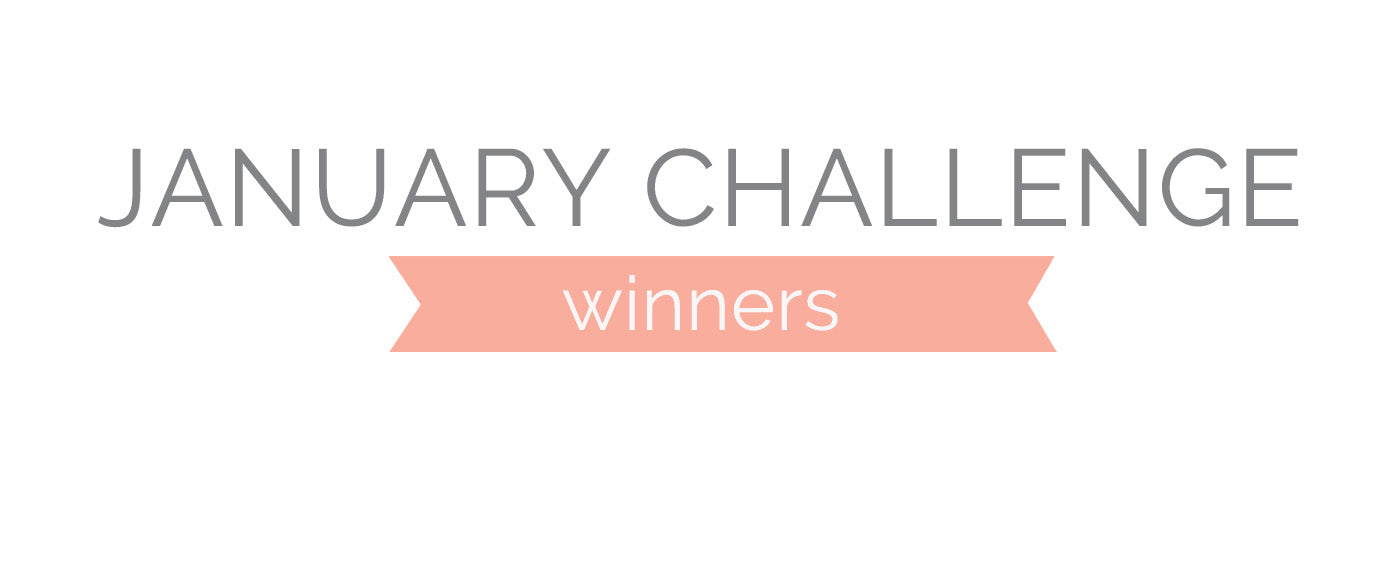 January Challenge Winners & Top 3 – Pinkfresh Studio