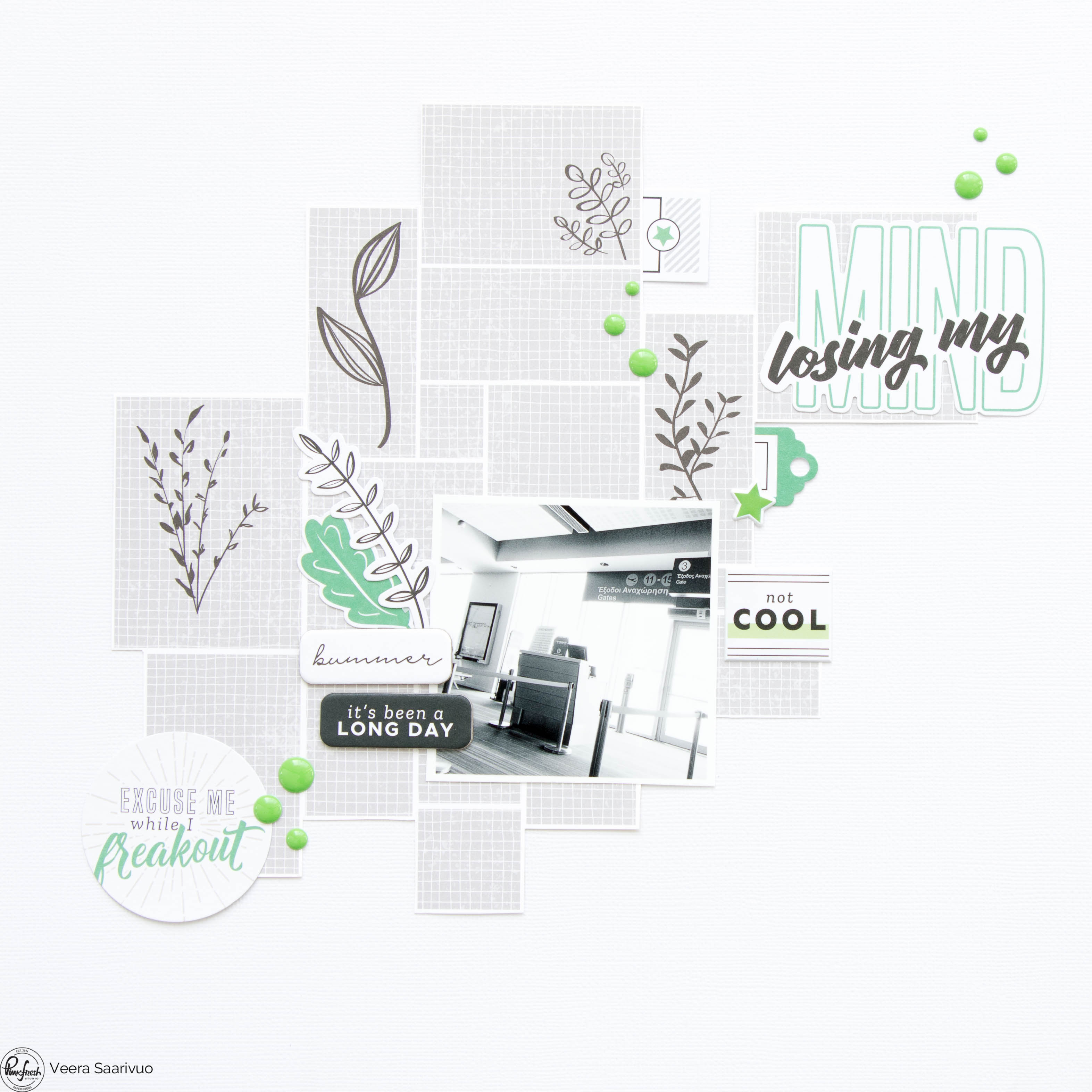 A Case of The Blahs with Veera – Pinkfresh Studio