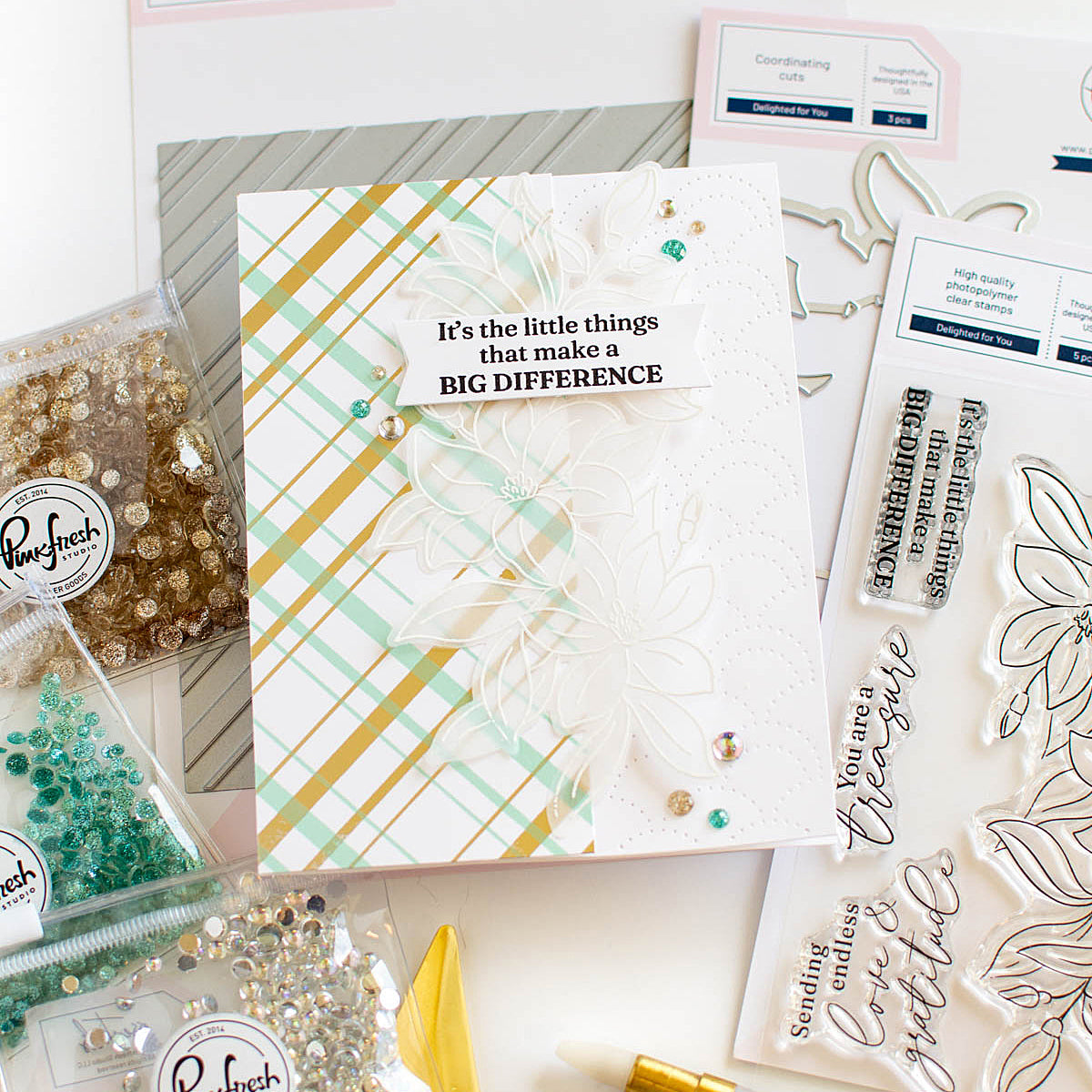 Delighted For You stamp – Pinkfresh Studio